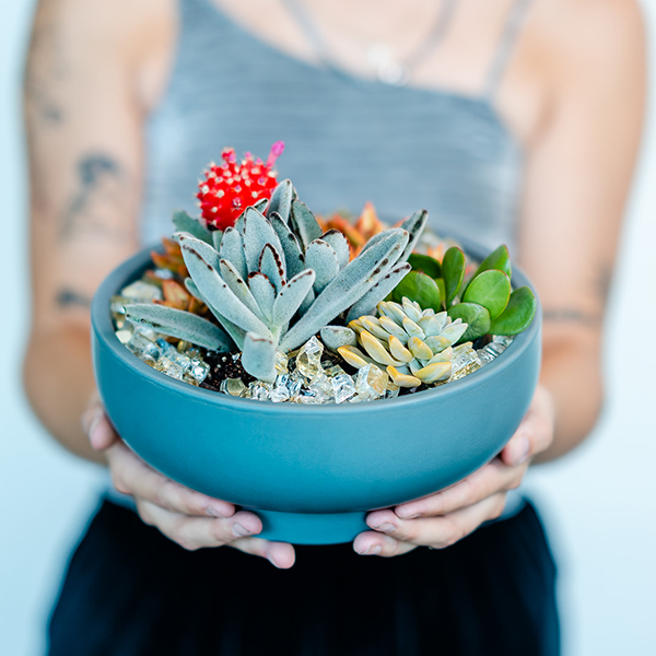 Private Planting Party – Momma Pots