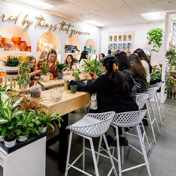 Private Planting Party – Momma Pots